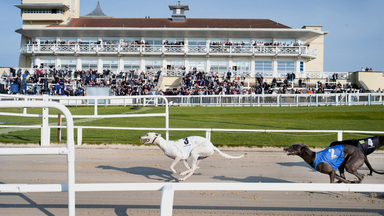 Greyhound Racing UK Tickets